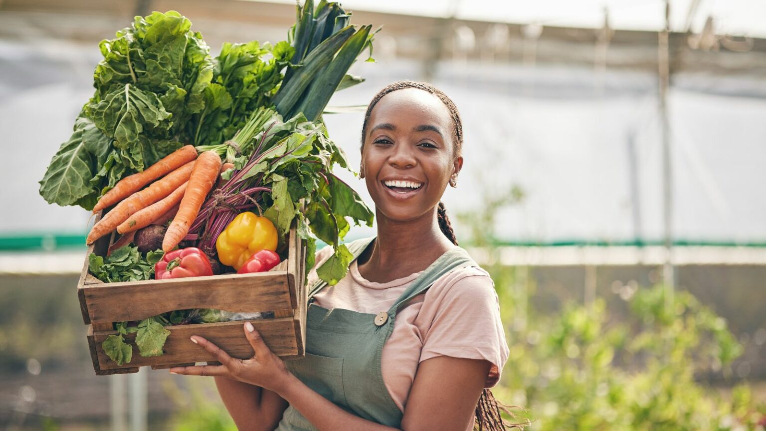 20 Surprising Reasons People Are Choosing Rural Life Over City Living ...