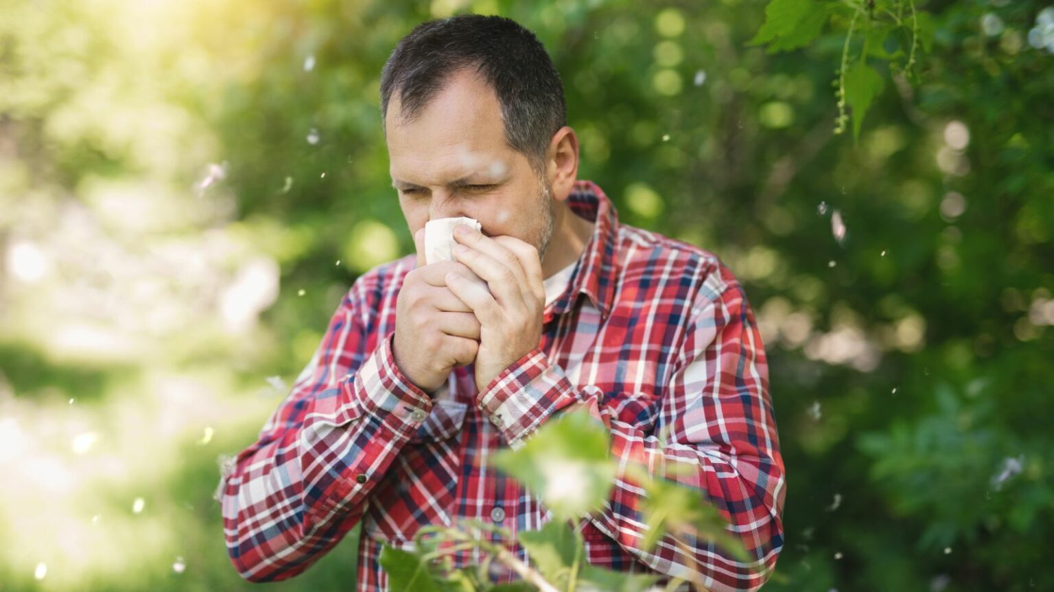 20 Hidden Health Risks of Common Household Chemicals - Trendonomist