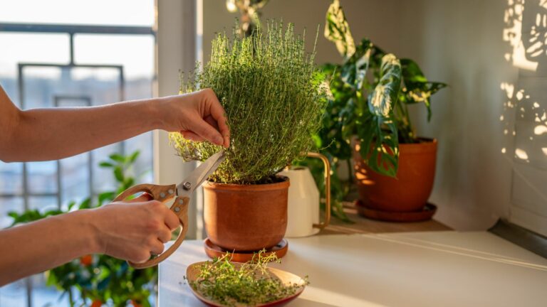 20 Unexpected Ways Technology Is Transforming Home Life - Trendonomist 20 Unexpected Ways Technology Is Transforming Home Life - Trendonomist