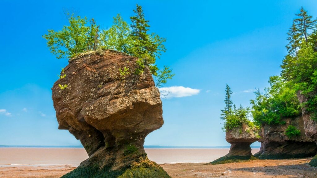 25 Low-Tax Canadian Cities You Didn’t Know Existed - Trendonomist