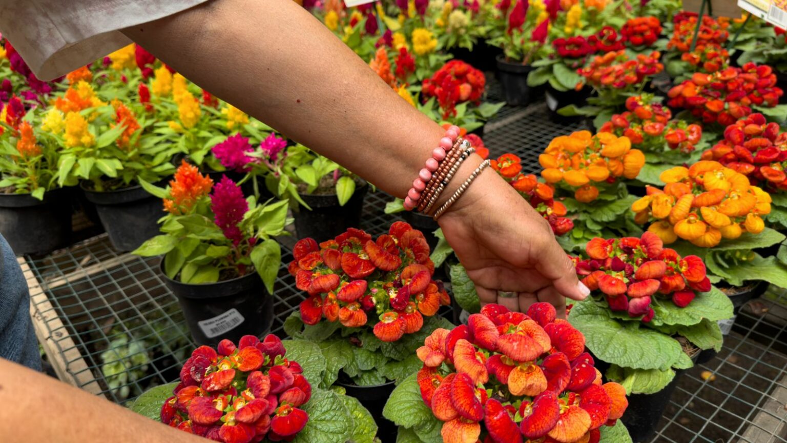 25 Things That Cost Way Less in Canada Than the U.S - Trendonomist