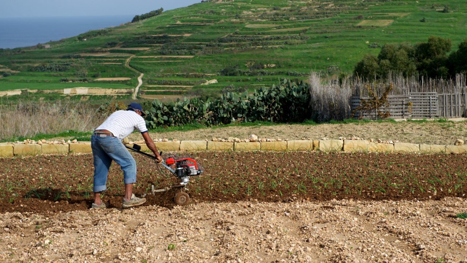 21 Surprising Ways Globalization Is Affecting Your Everyday Life ...