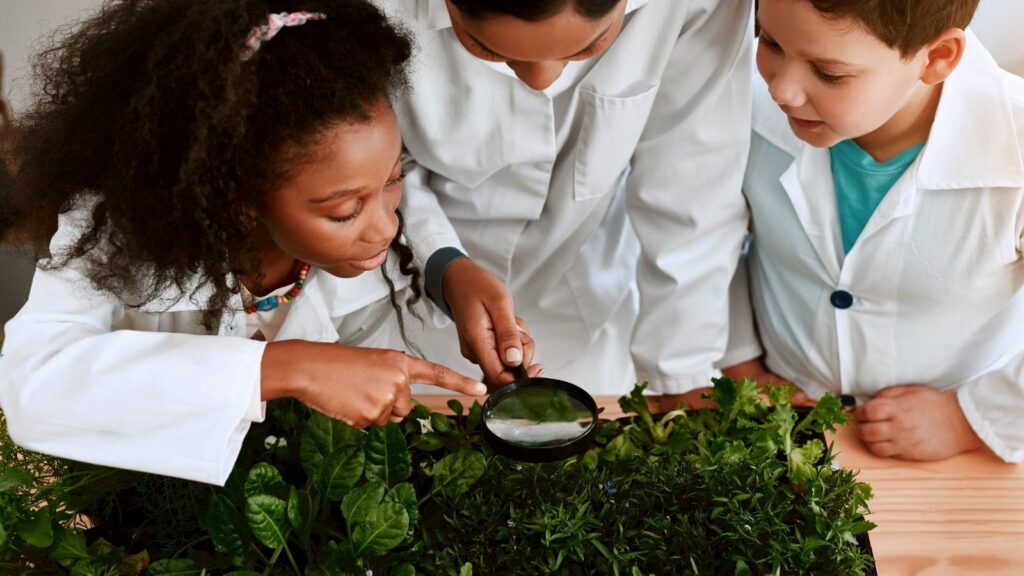 25 Ways Canada Is Leading the Charge in Green Innovation - Trendonomist
