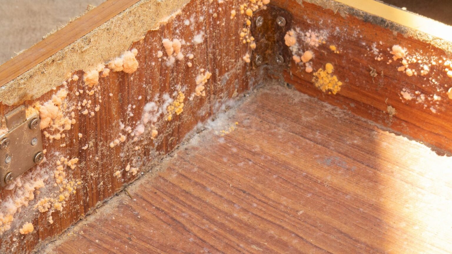 21 Hidden Health Risks of Popular Household Items Everyone Uses ...