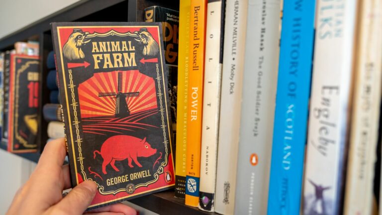 20 Canadian Bookstores That Feel Like Pure Magic - Trendonomist