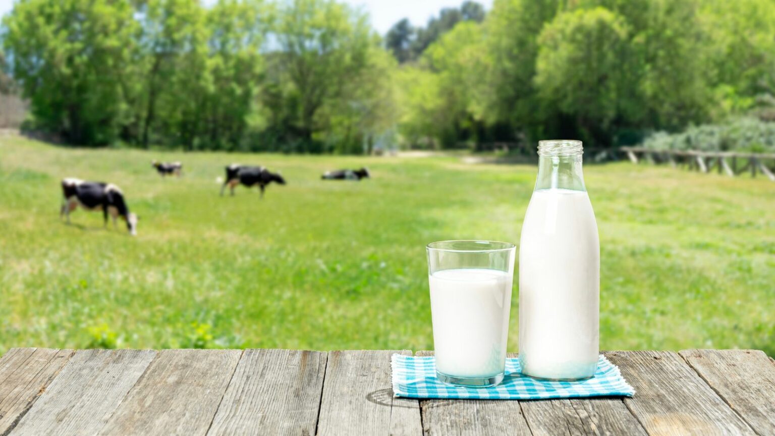 22 Homegrown Canadian Brands You Should Be Supporting Right Now ...