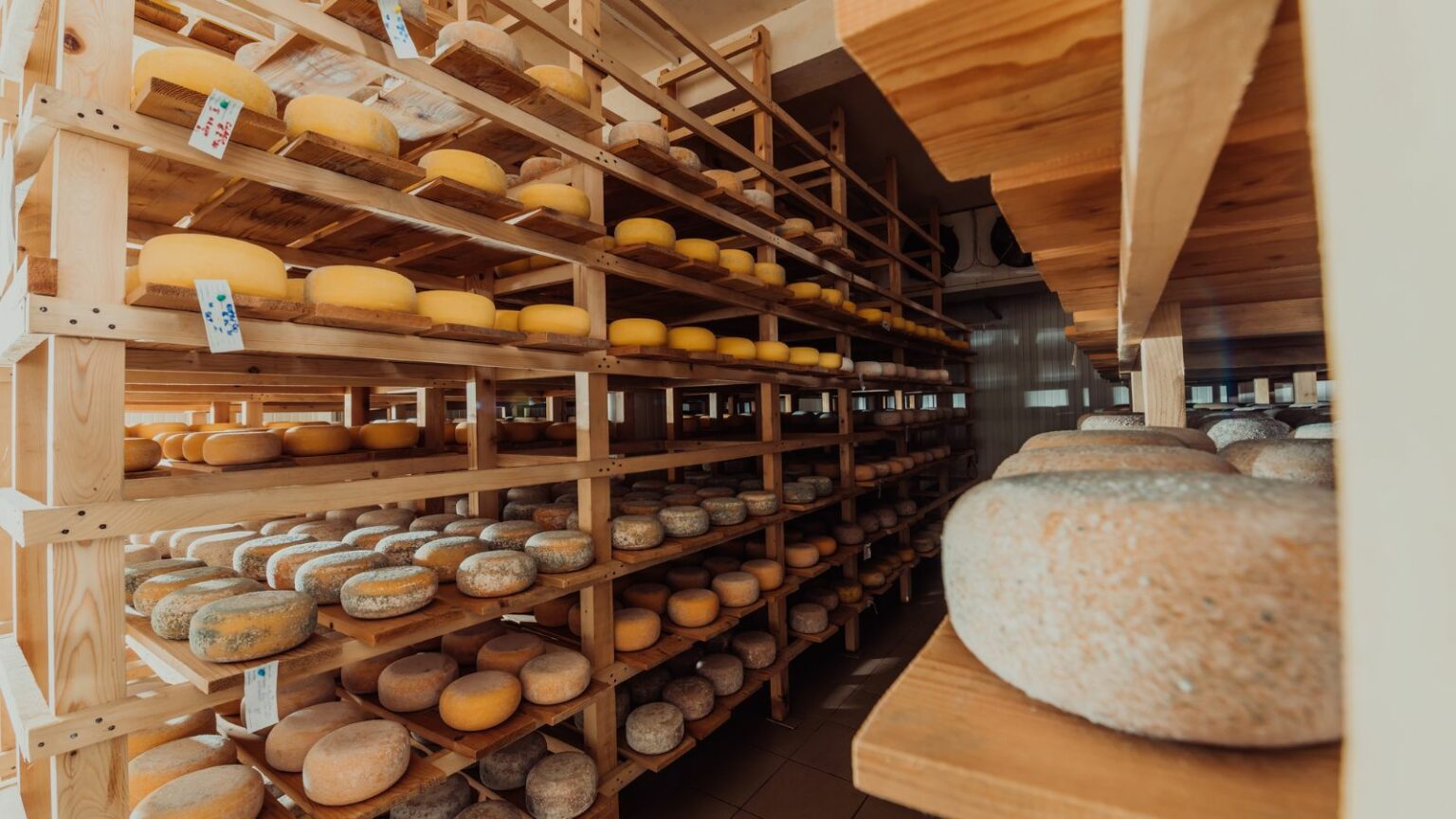 24 Canadian Alternatives to Popular U.S. Products That Will Surprise ...