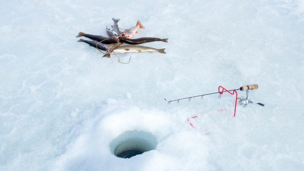 24 Canadian Traditions That Are Slowly Disappearing—And Why It Matters ...
