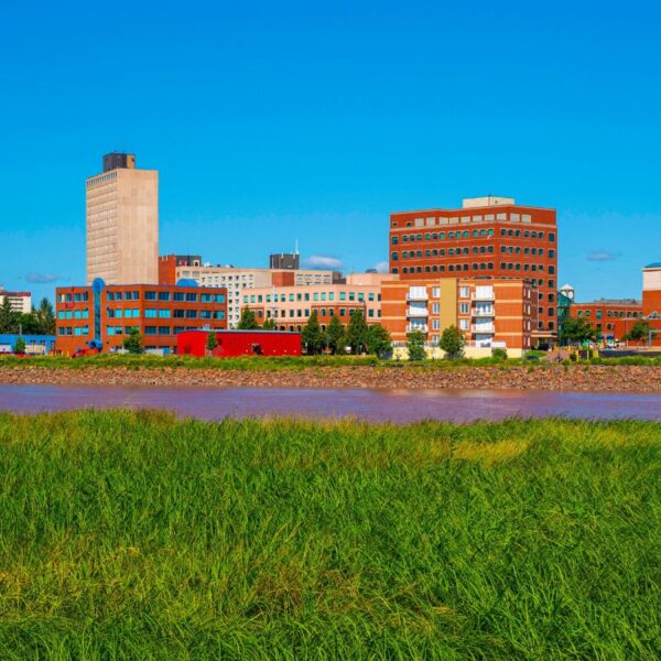 19 Canadian Industries That Are Booming in 2025 - Trendonomist