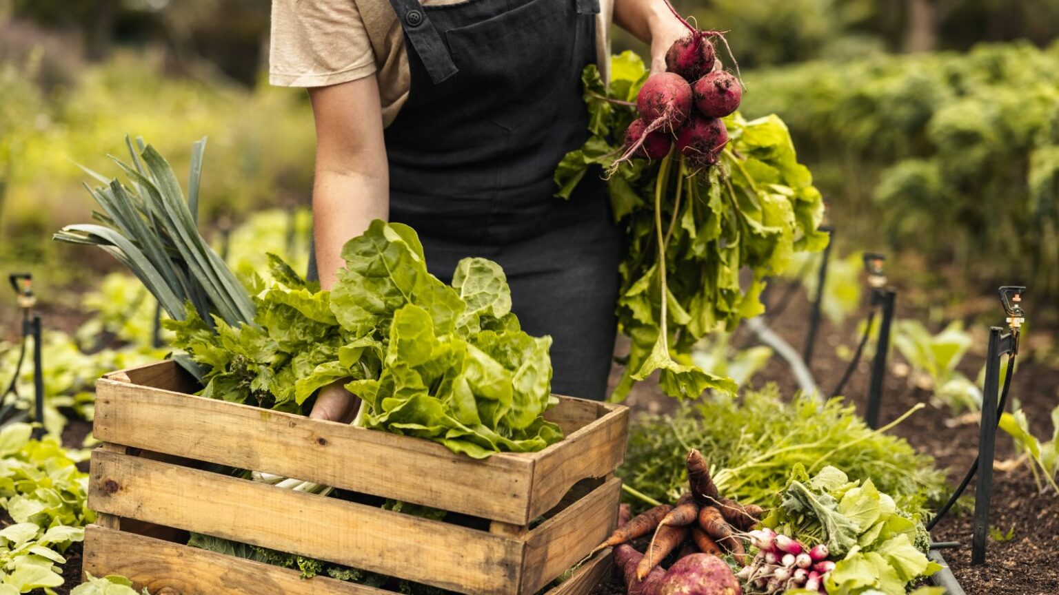 30 Canadian Farmers' Markets Worth Waking Up Early For - Trendonomist