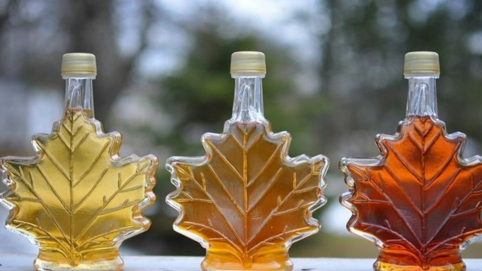 24 Canadian Traditions that Make the Country Truly Special - Trendonomist