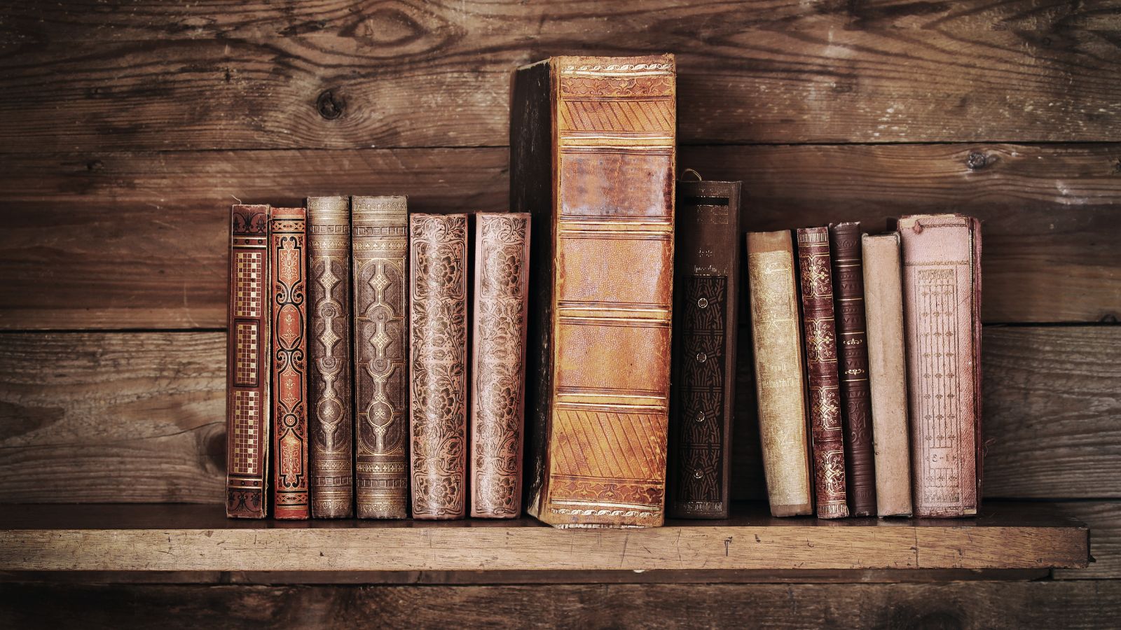 20 Canadian Bookstores That Feel Like Pure Magic - Trendonomist