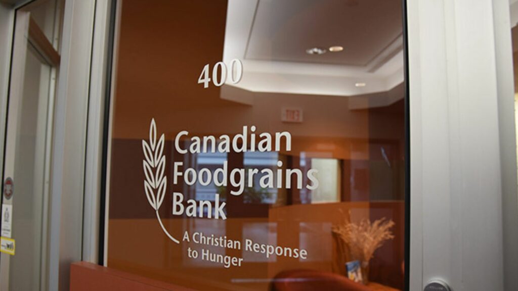 23 Canadian Charities Making a Massive Impact Locally - Trendonomist