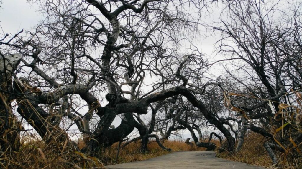 21 Beautiful Natural Wonders in Canada Most Tourists Miss - Trendonomist