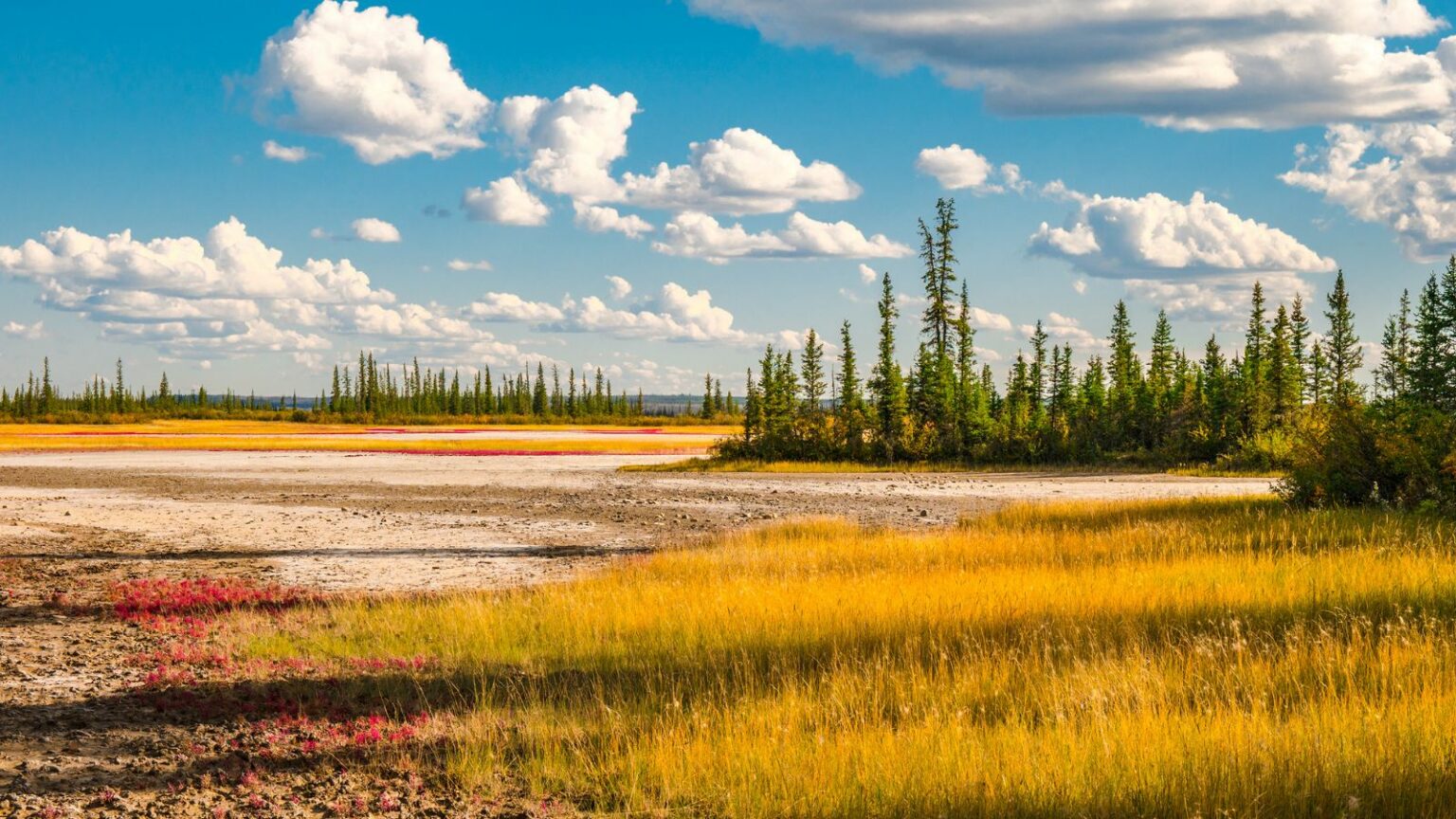 28 Places in Canada Where Nature Feels Practically Untouched - Trendonomist