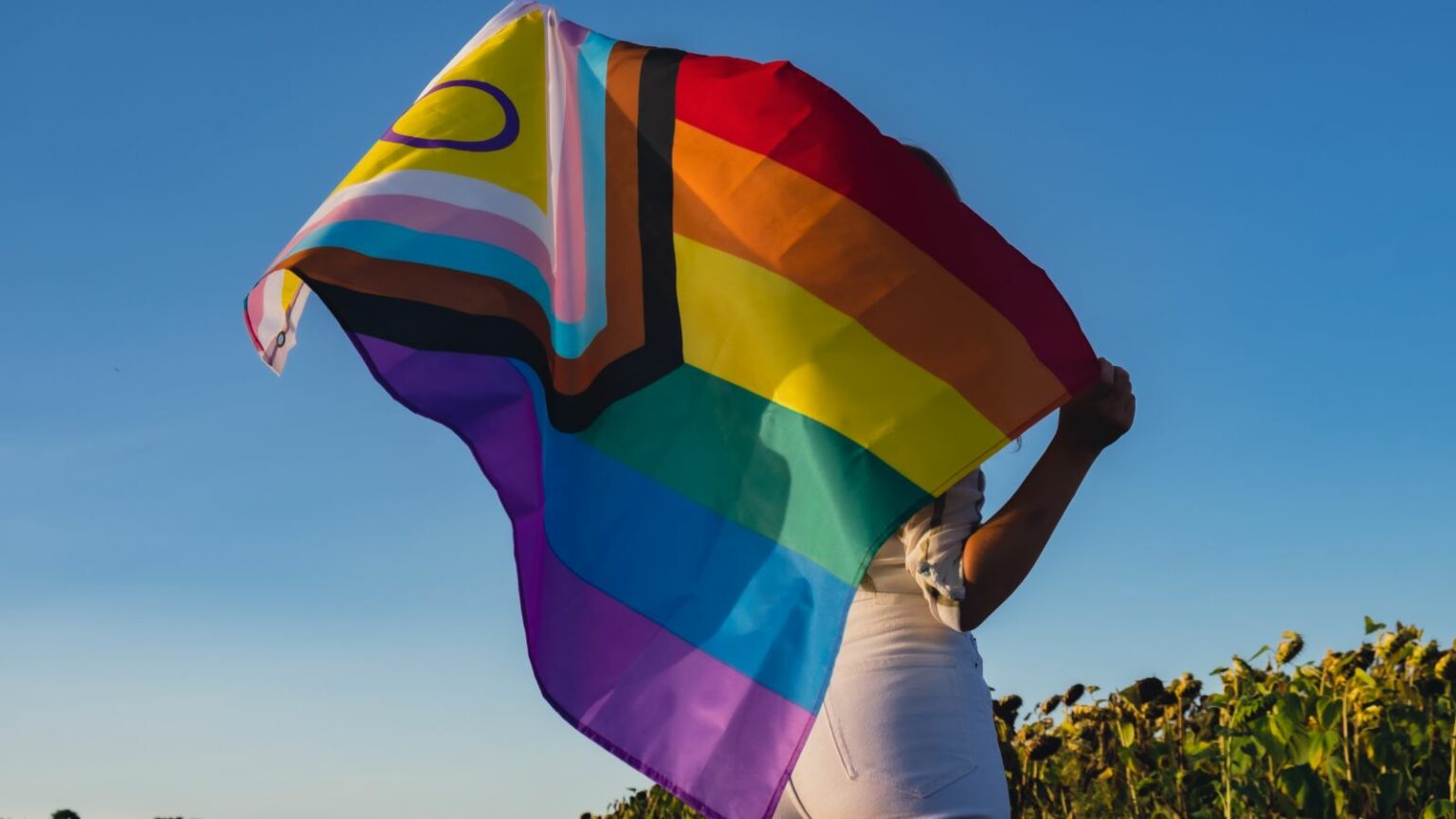 23 Times Canada’s Social Policies Became Global Models - Trendonomist