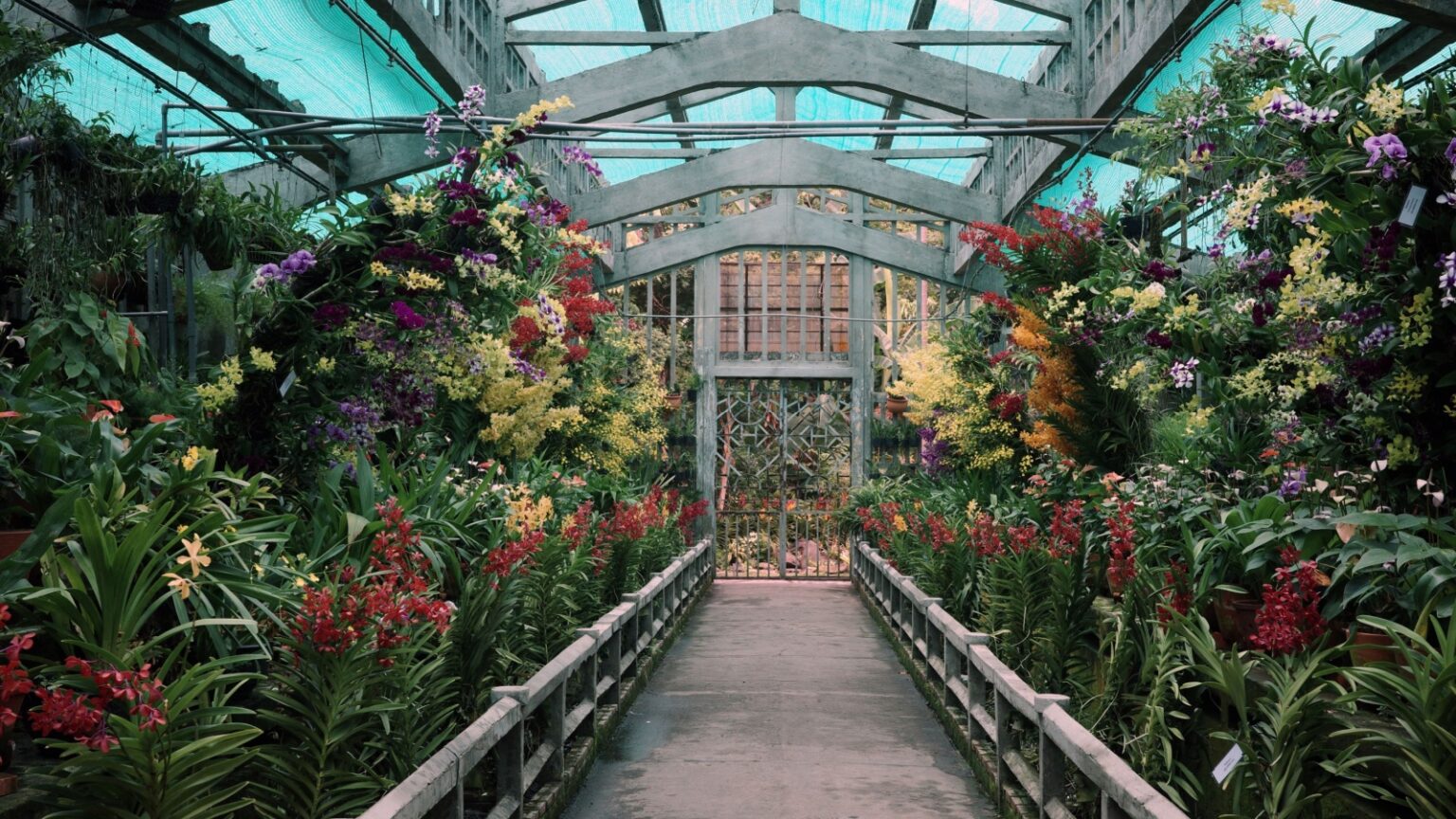 16 Garden Trends Canadians Are Trying in 2026 (Even in Small Spaces ...